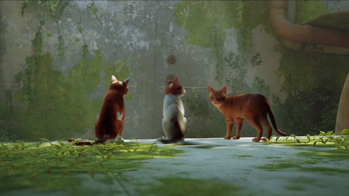 《Stray》Mod大合集！各种颜色、各种模组替换，还有人将猫叫换成放屁声！ - Wanuxi